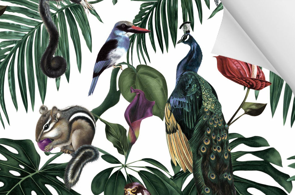 Wallpaper – Witch and Watchman