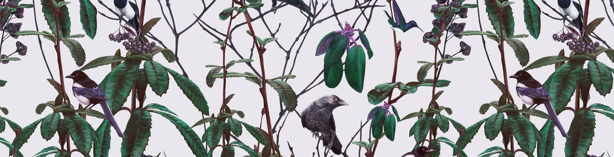 Witch and Watchman | The Folia Collection