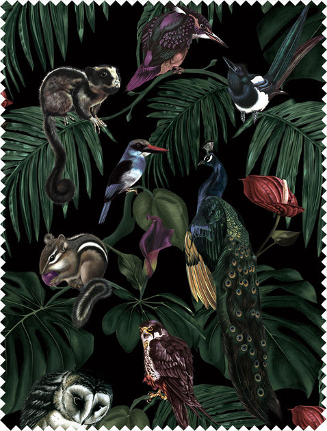 Products – Witch and Watchman